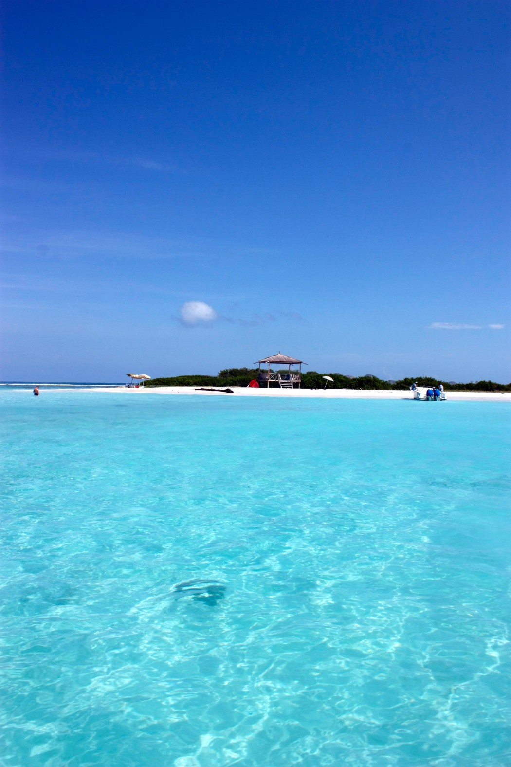 Dicas de Los Roques, a ilha mais linda do Roteiro Caribe