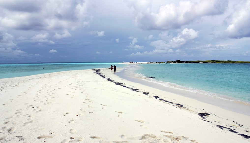 Dicas de Los Roques, a ilha mais linda do Roteiro Caribe