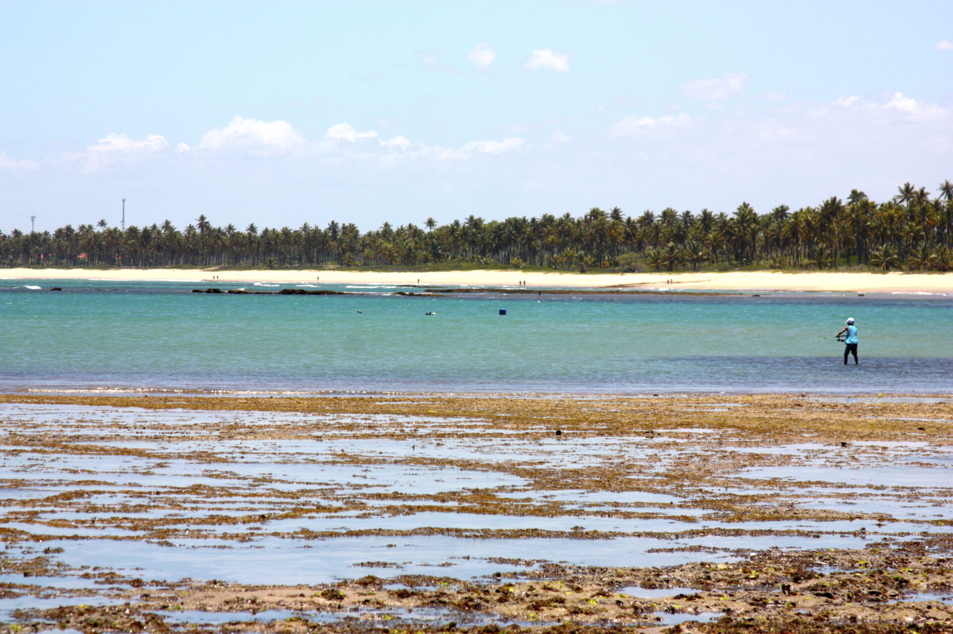 Praia do Forte: dicas, passeios e hoteis