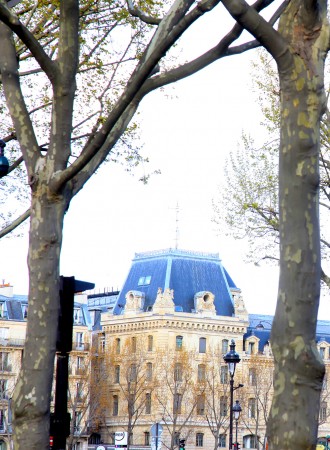 O que fazer em Paris: um guia para adultos e crianças - Juju na Trip